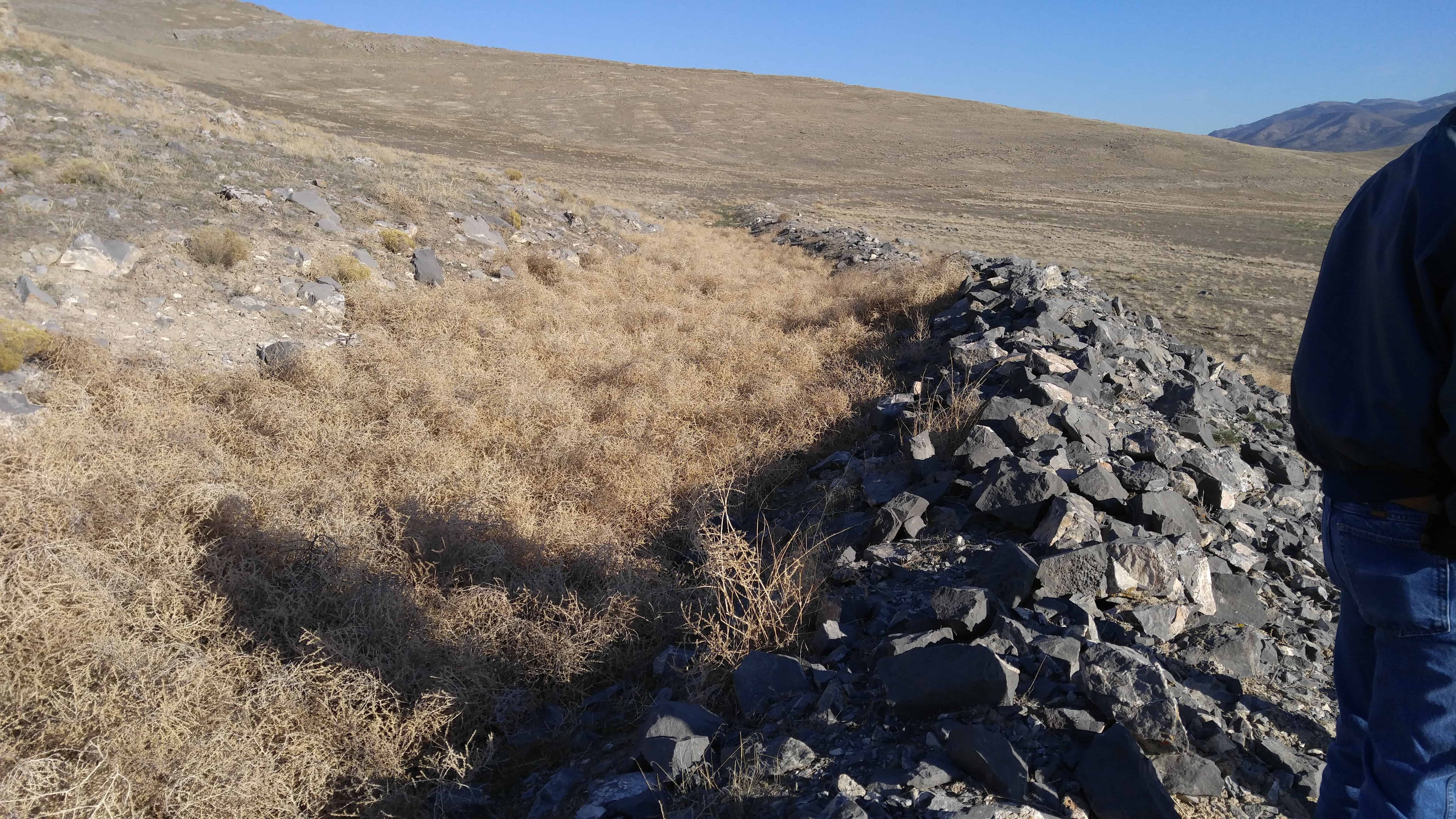 Mosida Ruins | JacobBarlow.com