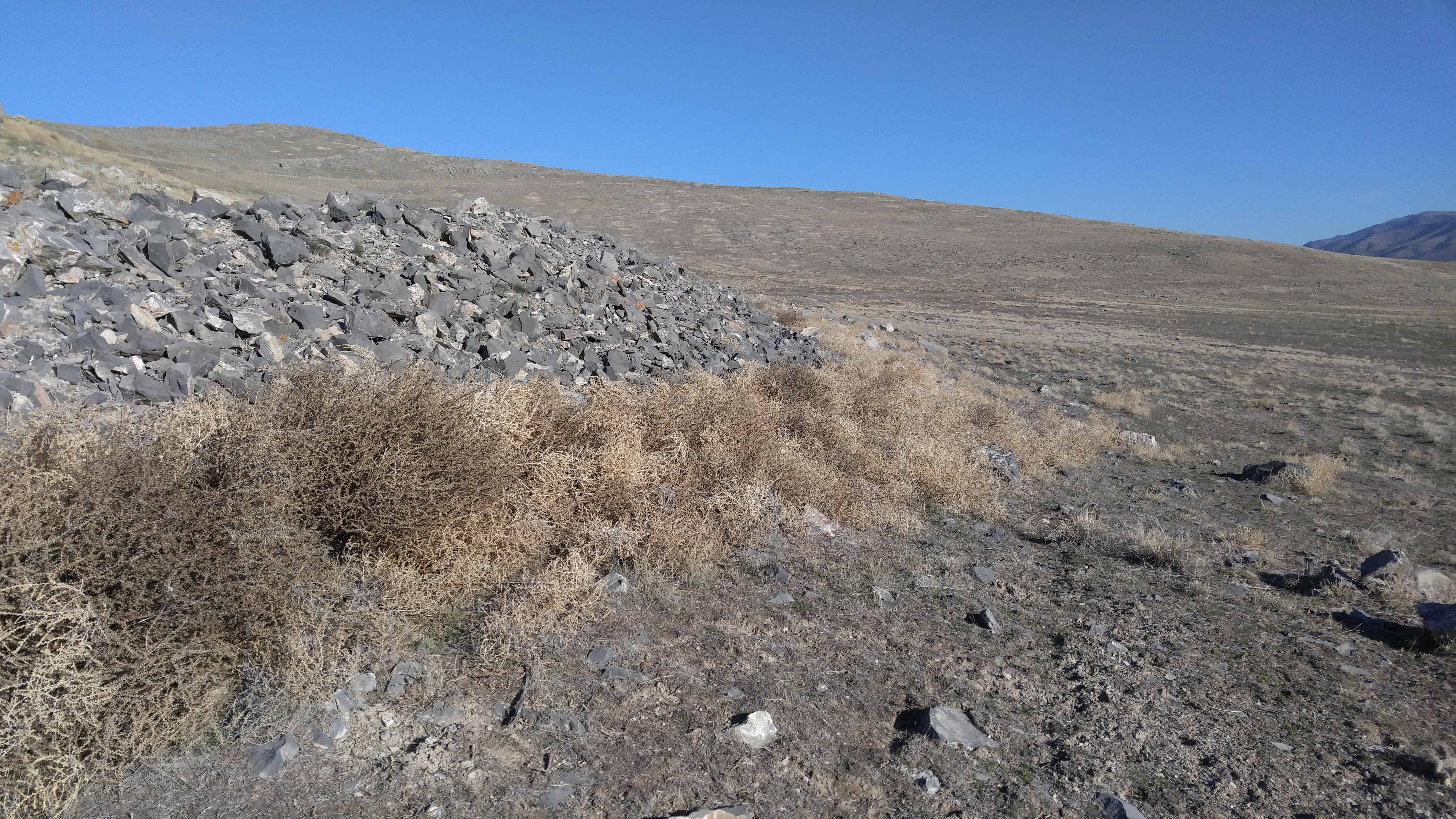 Mosida Ruins | JacobBarlow.com