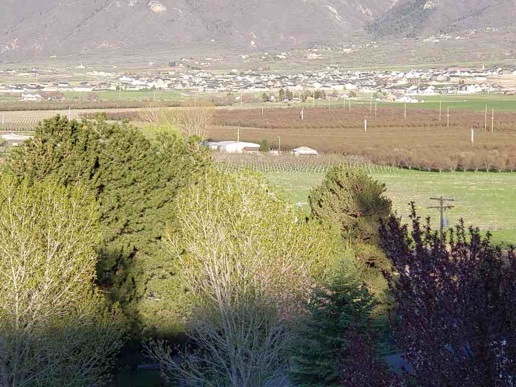 Playing Chicken in Tractors – Footloose Filming Location | JacobBarlow.com