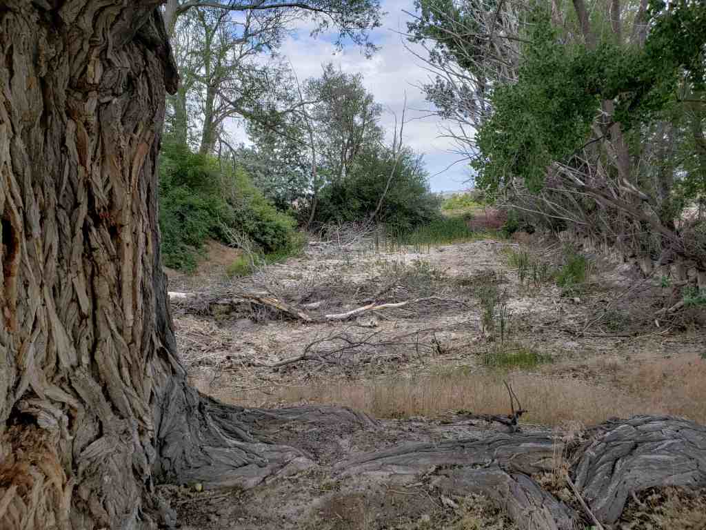 Lucin, Utah | JacobBarlow.com