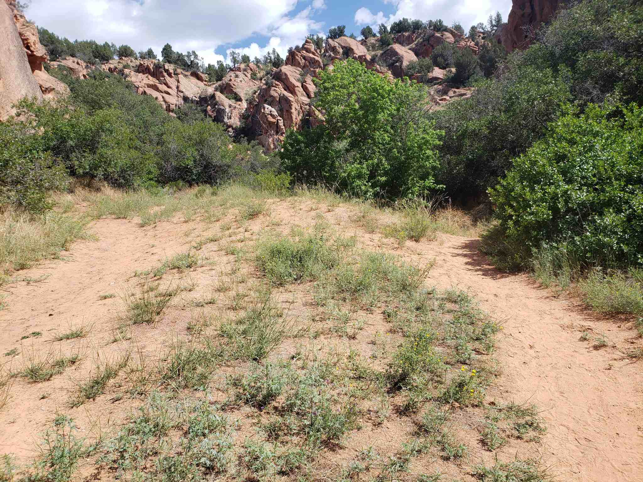 Red Ledges in Diamond Fork Canyon | JacobBarlow.com