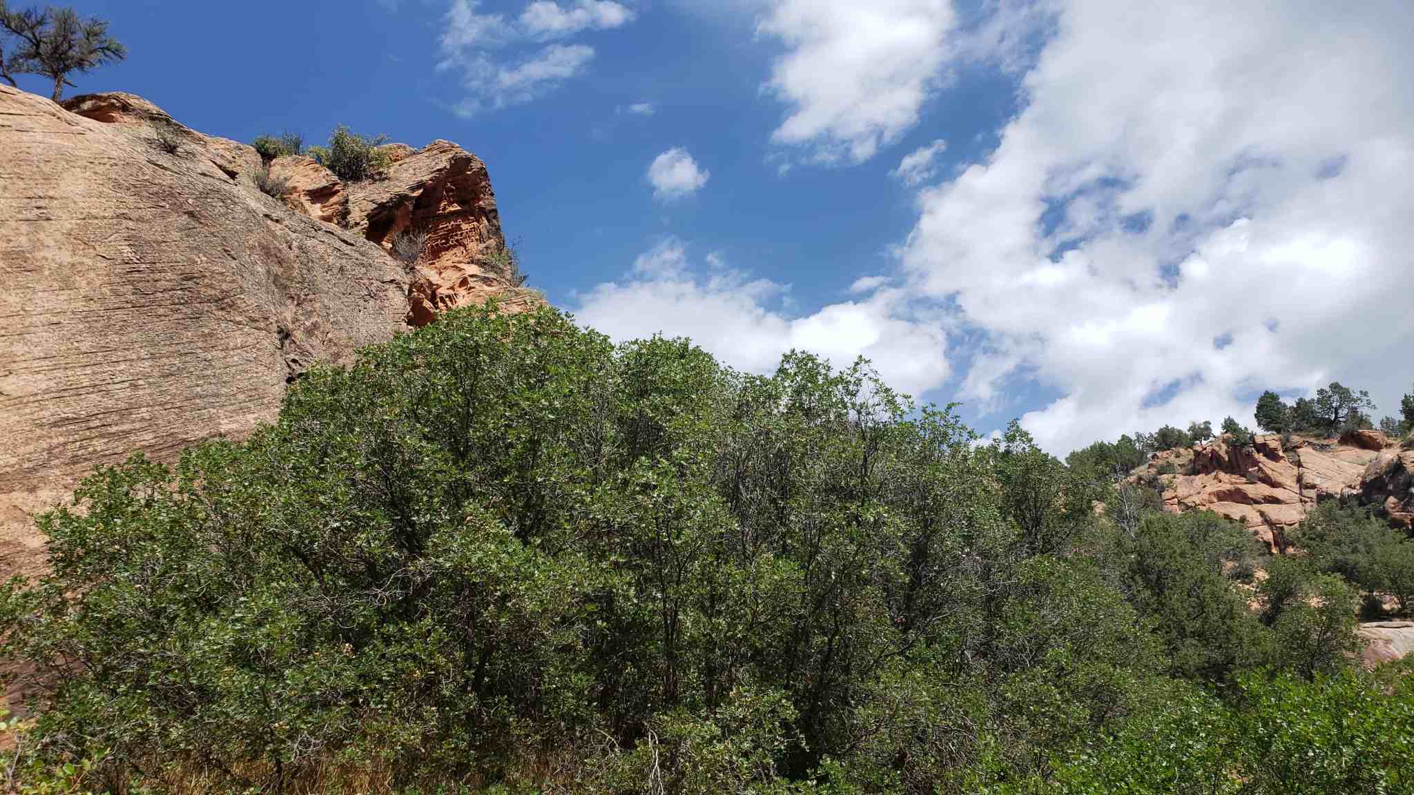 Red Ledges in Diamond Fork Canyon | JacobBarlow.com