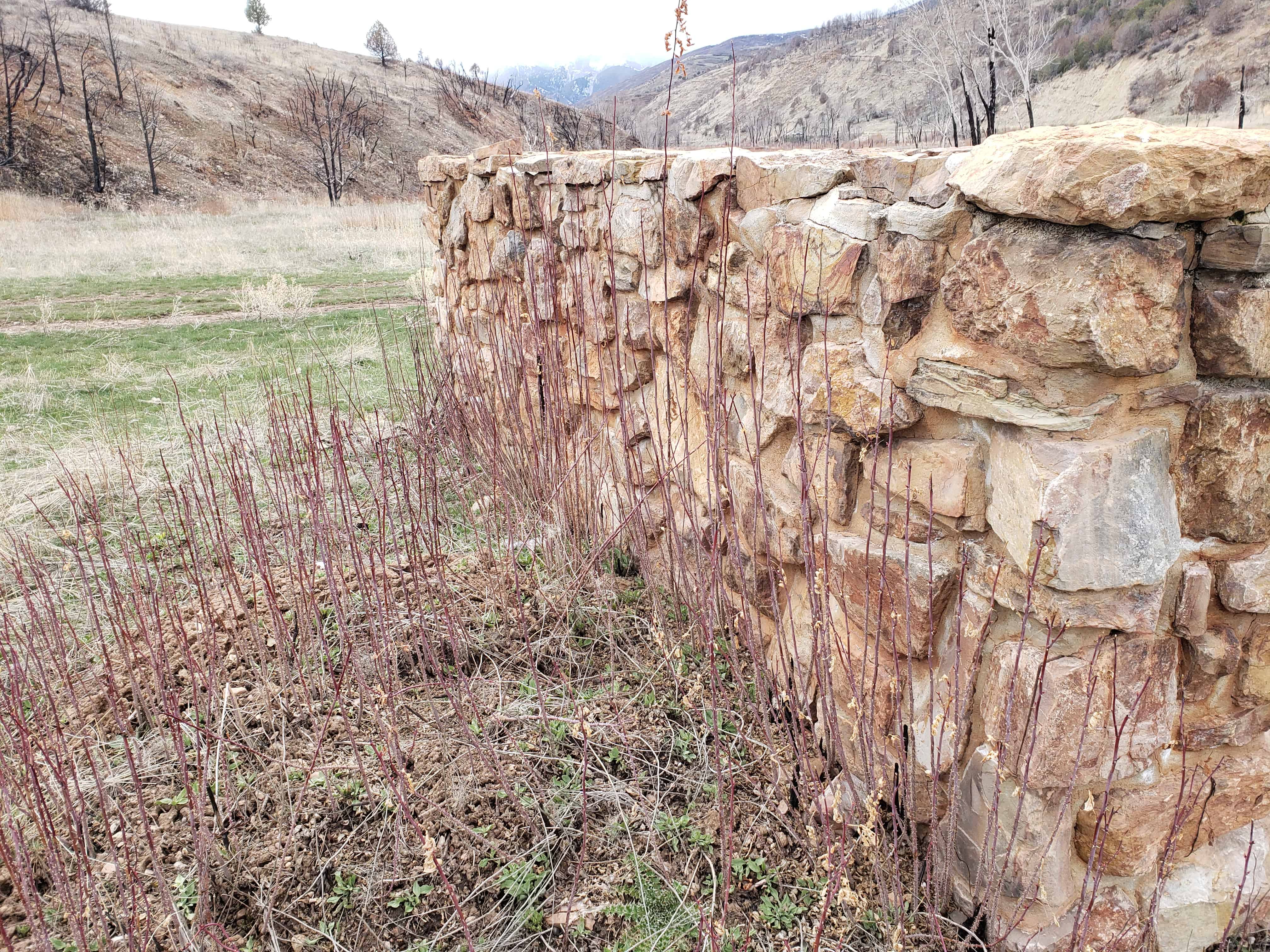 Brimhall Canyon | JacobBarlow.com