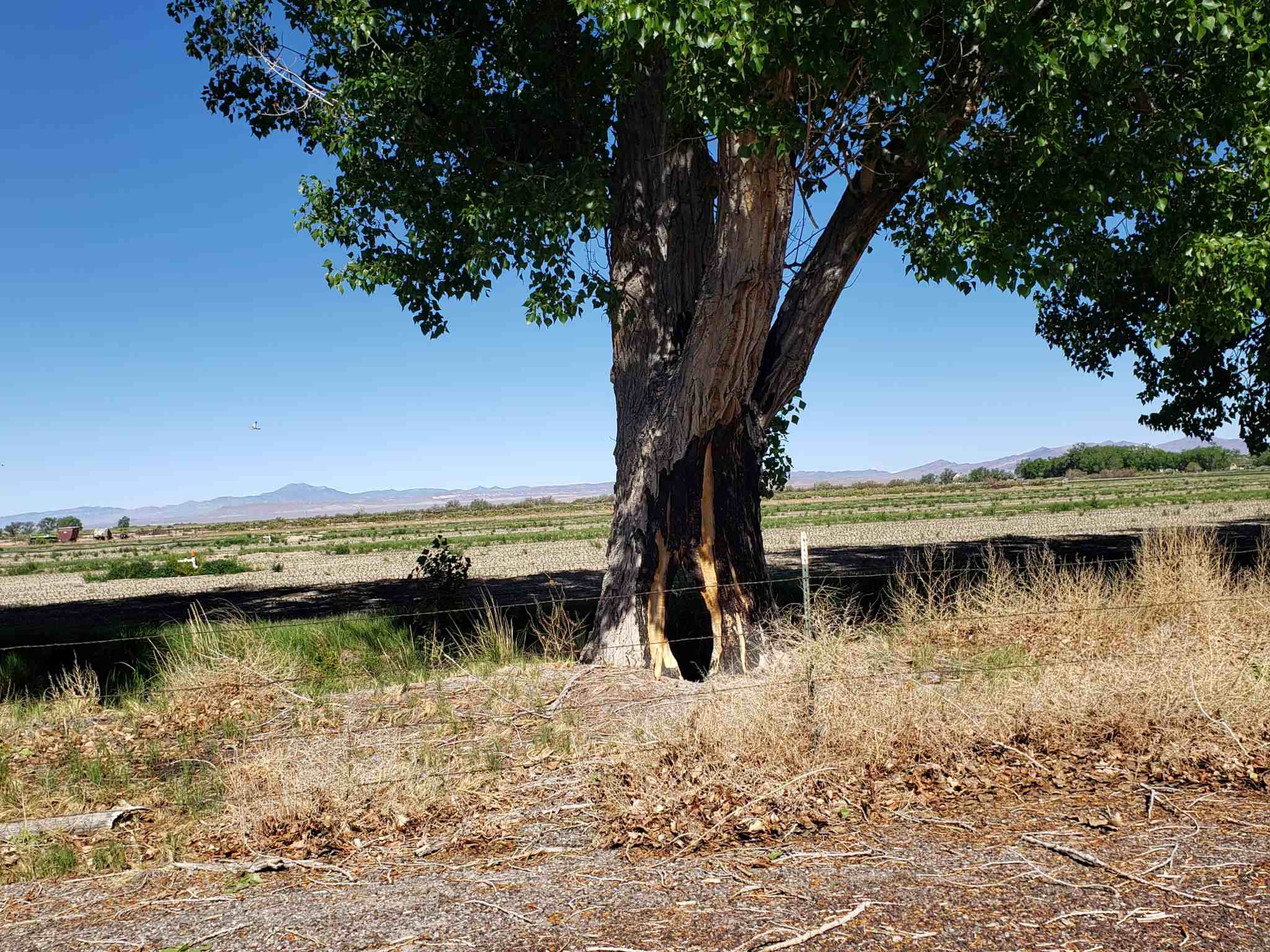 Abraham, Utah | JacobBarlow.com