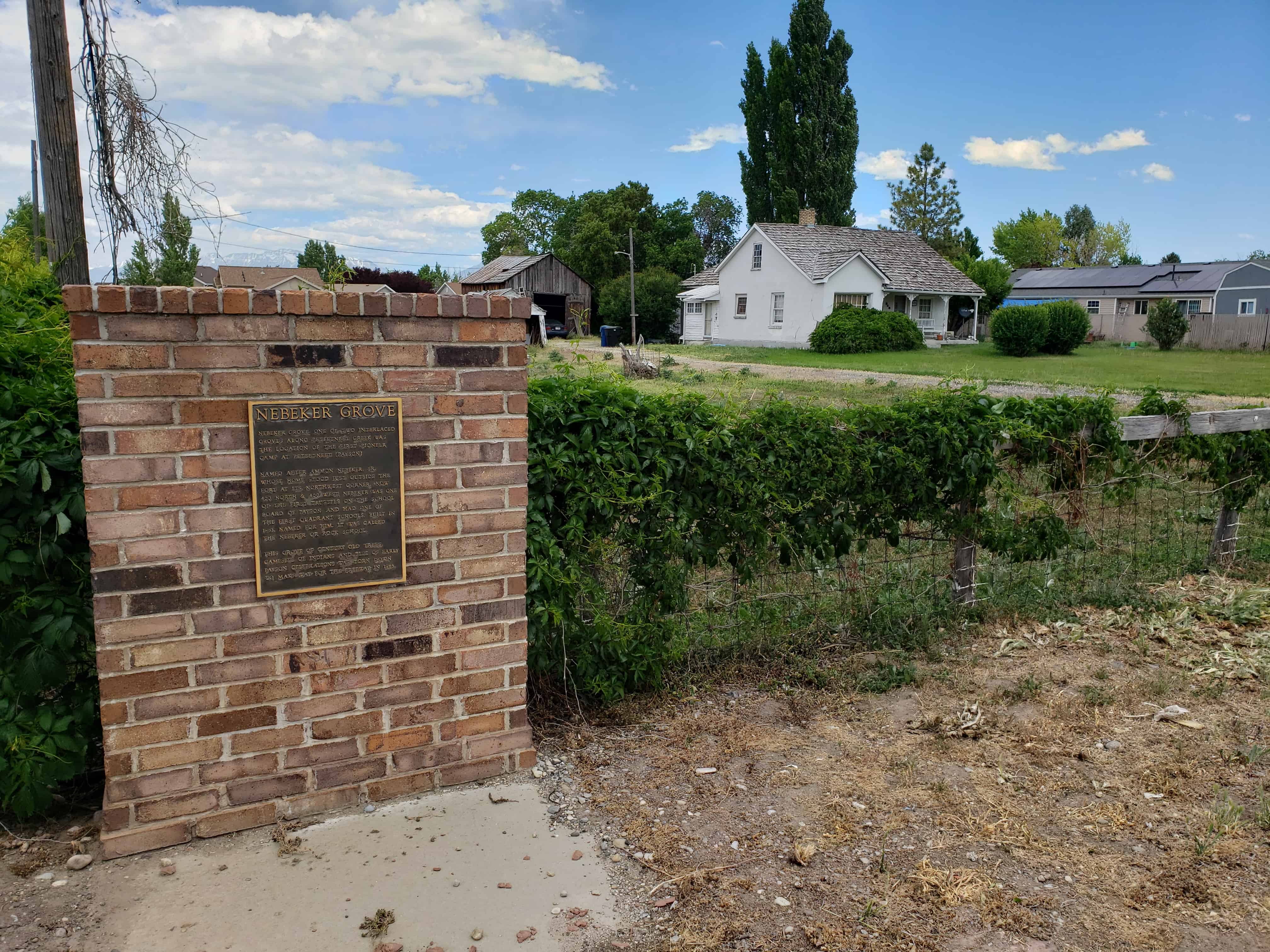 Nebeker Grove | JacobBarlow.com