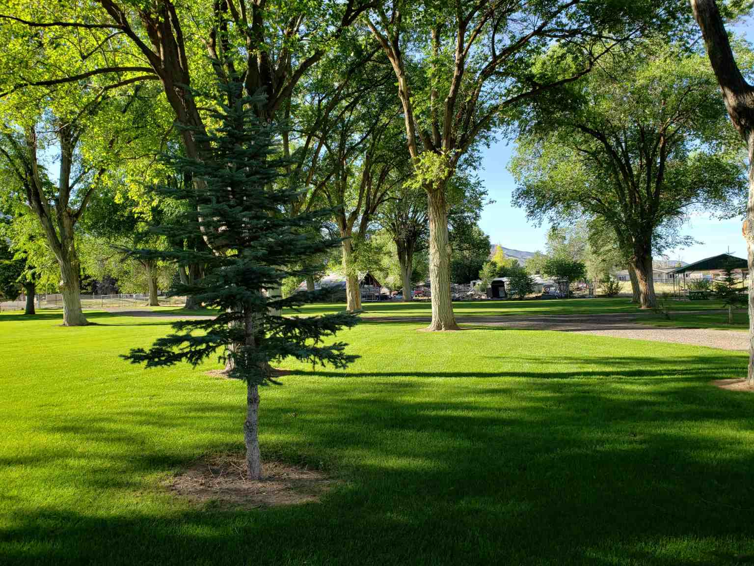 Levan Town Park | JacobBarlow.com