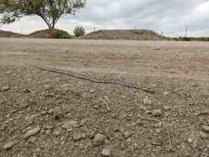 Callao, Utah | JacobBarlow.com