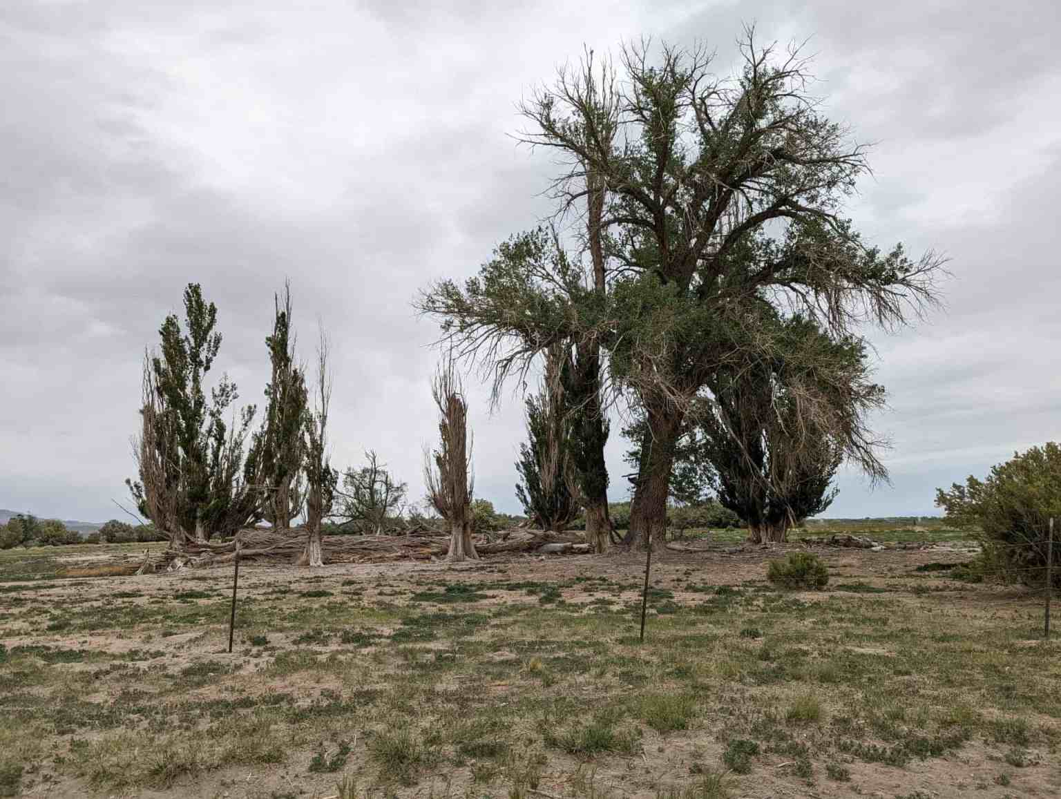 Callao, Utah | JacobBarlow.com