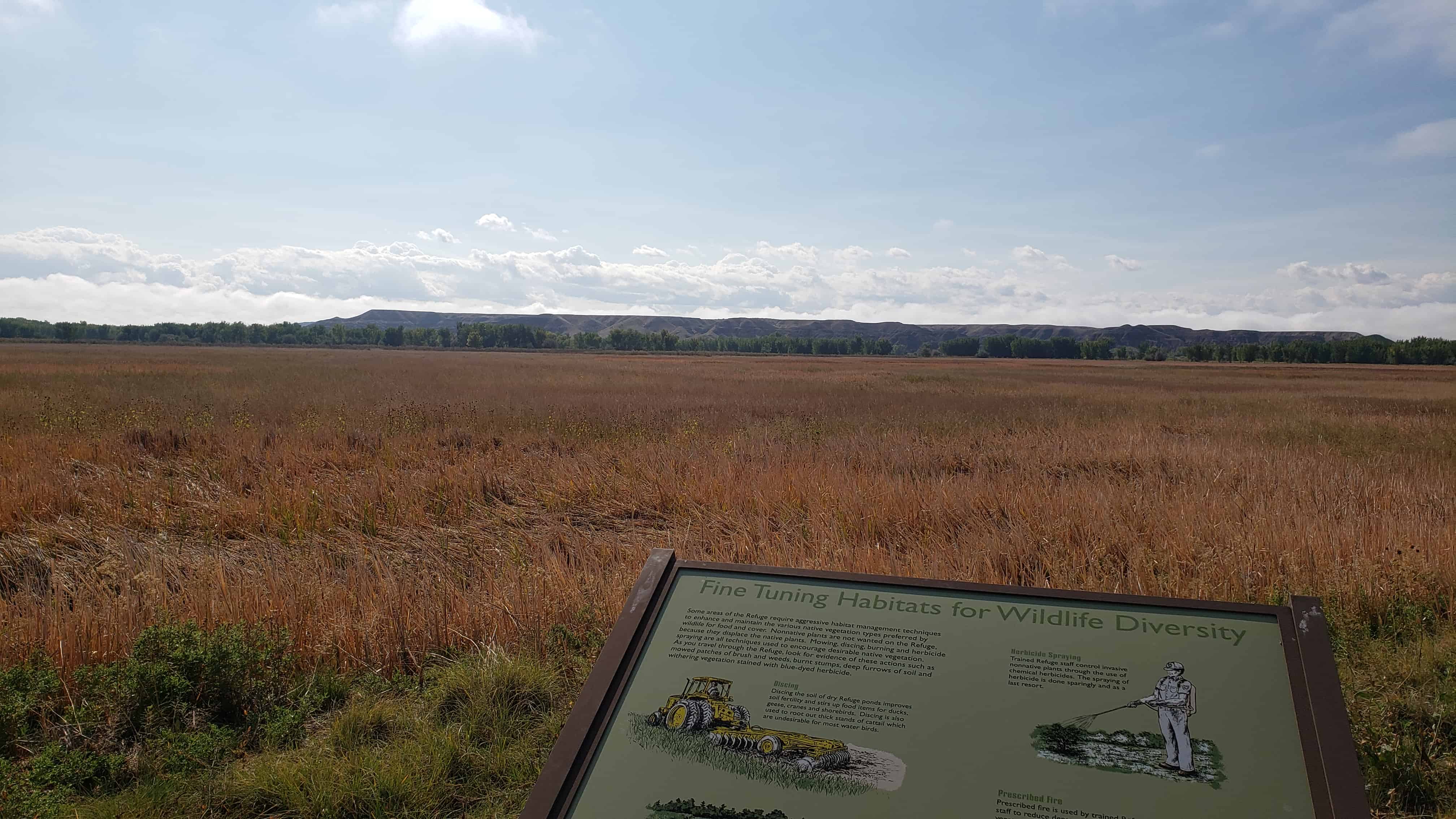 Ouray National Wildlife Refuge | JacobBarlow.com
