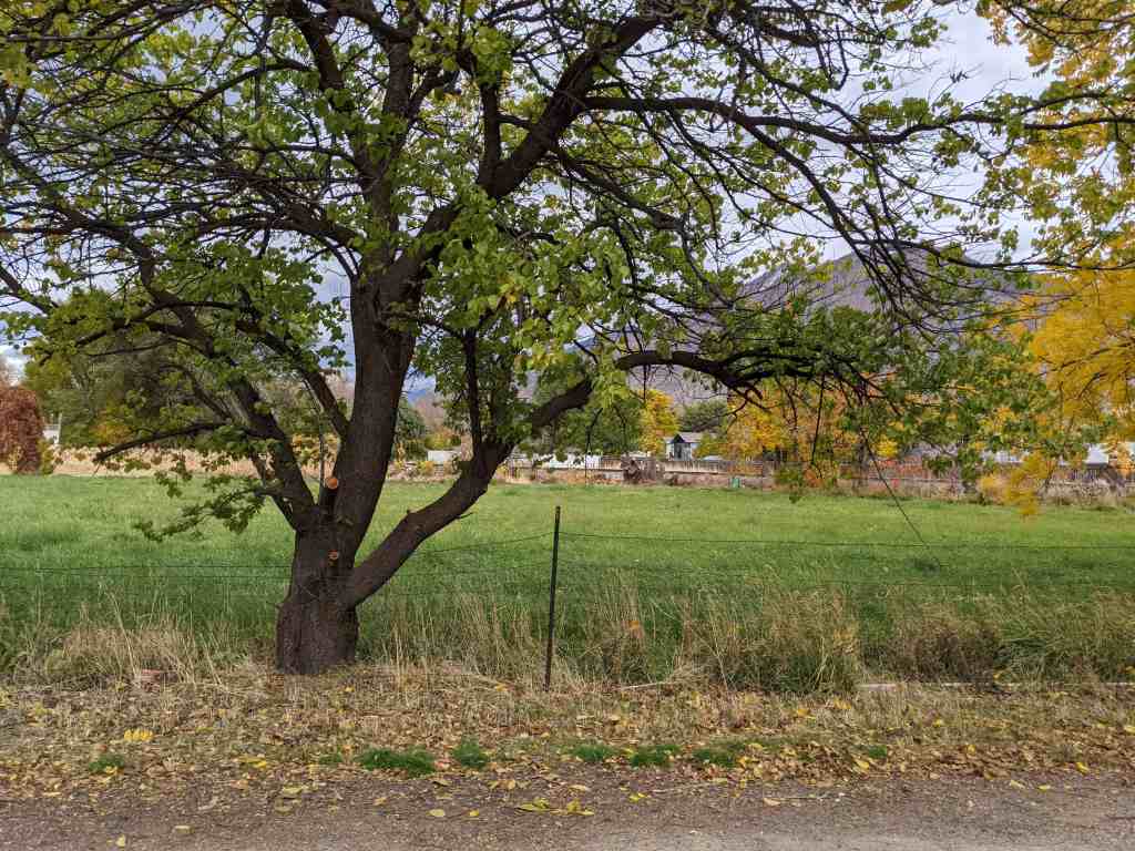 234 W 700 S | JacobBarlow.com